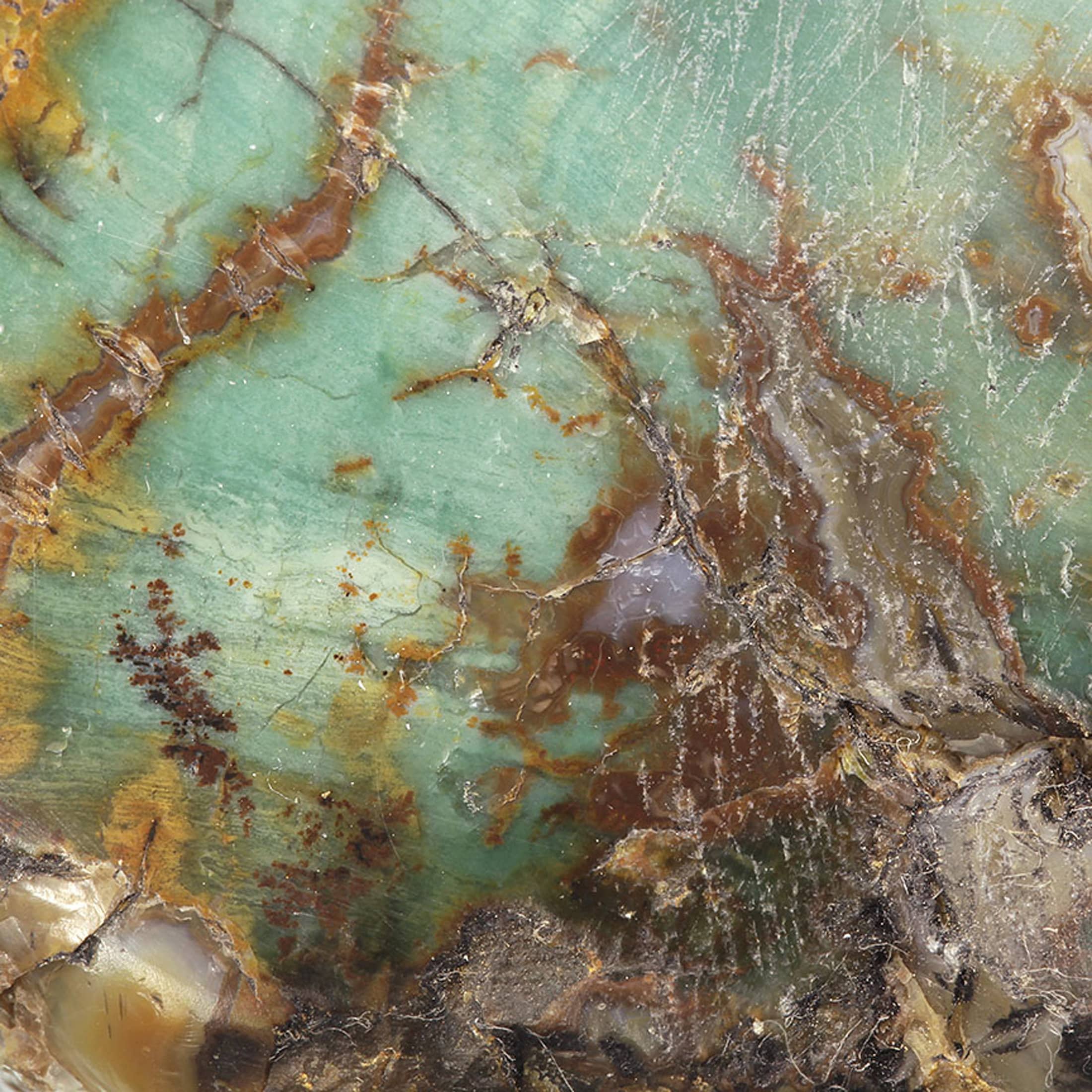 Petrified Wood (incredibly rare color) with Banded Agate / Locality ...