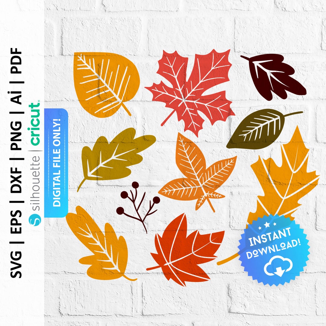 Fall Leaves Svg, Fall Leaf Svg Bundle, Fall Clipart, Autumn Leaf Bundle ...