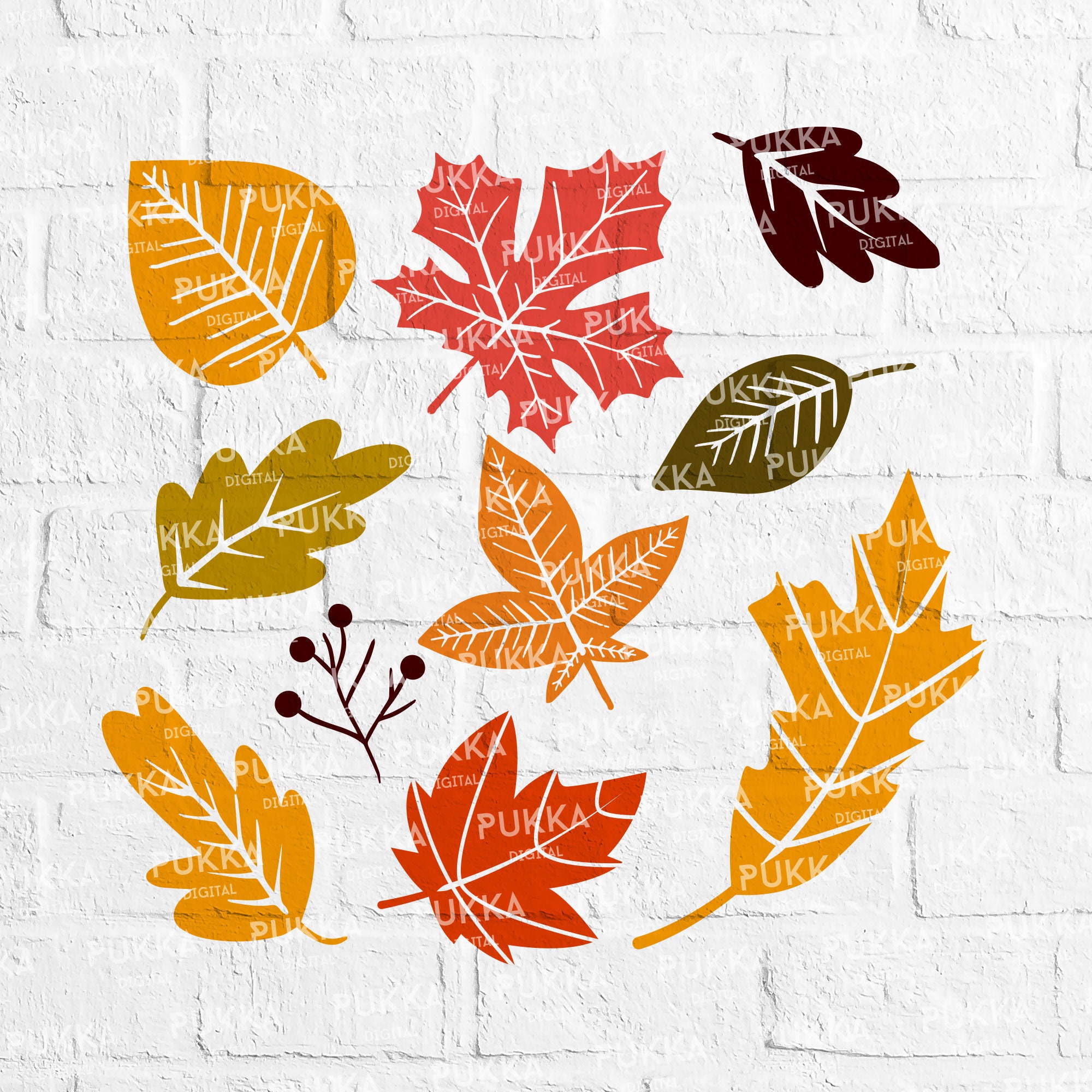 Fall Leaves Svg, Fall Leaf Svg Bundle, Fall Clipart, Autumn Leaf Bundle ...