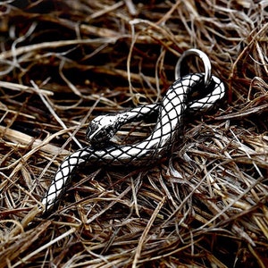 Gothic Snake Pendant Necklace for Mens Stainless Steel Animal Pendants ...