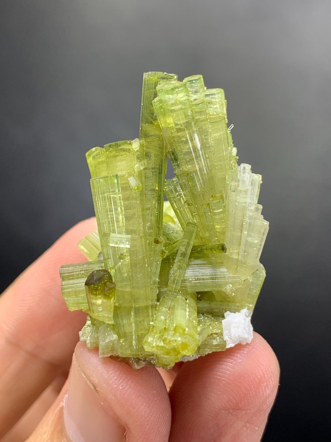 Natural Green Tourmaline Crystals Bunch Specimen on Matrix From Chakpo ...