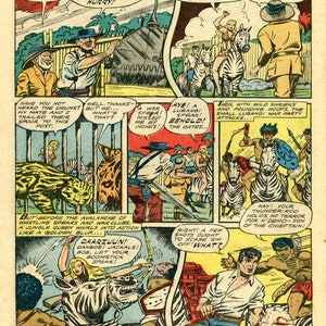 Sheena Queen of the Jungle Comic Collection. Over 2000 Pages of Sheena ...