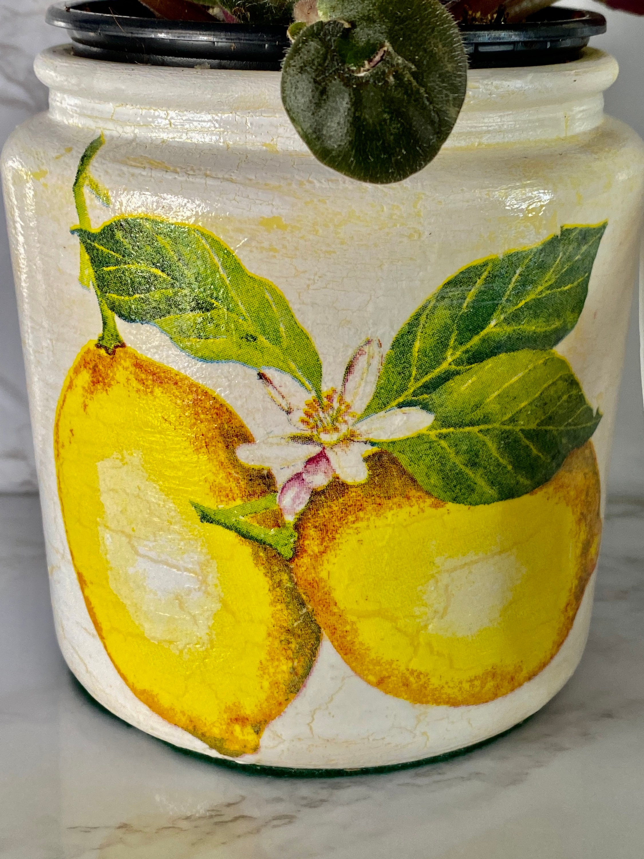 Lemon Themed Canister/planter Tea Caddy Container for Nuts | Etsy