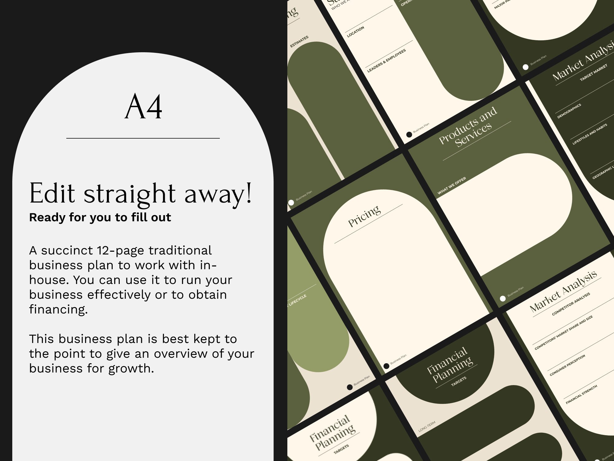 Traditional Business Plan Template for Word, Docs, Canva and PDF - Etsy