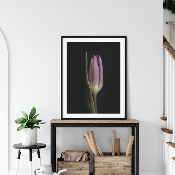 Photography - Etsy Australia