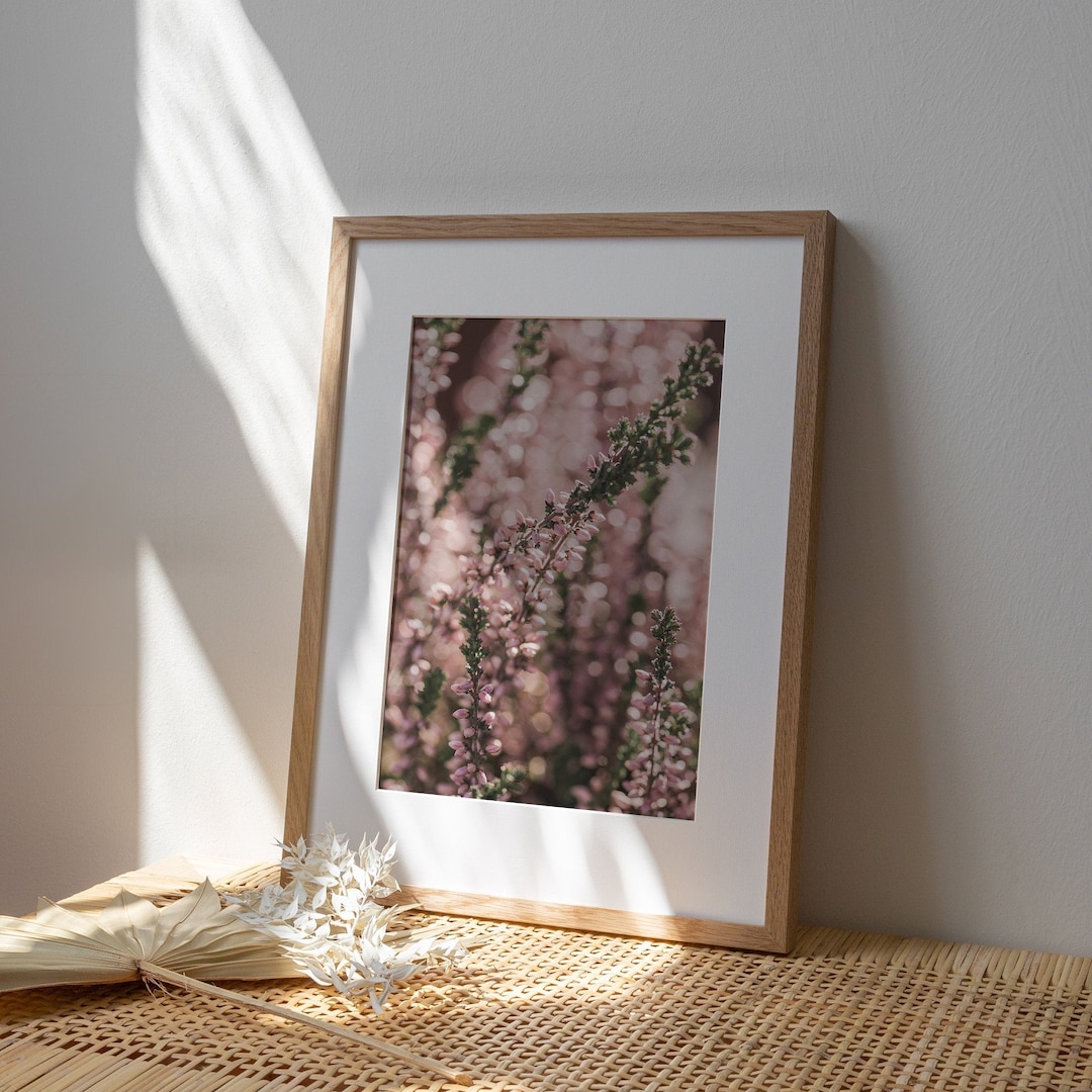 Photography Print, Wall Print, Home Decor, House Warming Gift, Heather ...