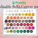 2023 Printify Bella Canvas 3001 Color Chart, Bella Canvas Unisex Tshirt ...