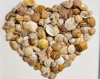 Shell Heart Art - Etsy