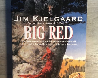 CarolinaBookNest - Etsy