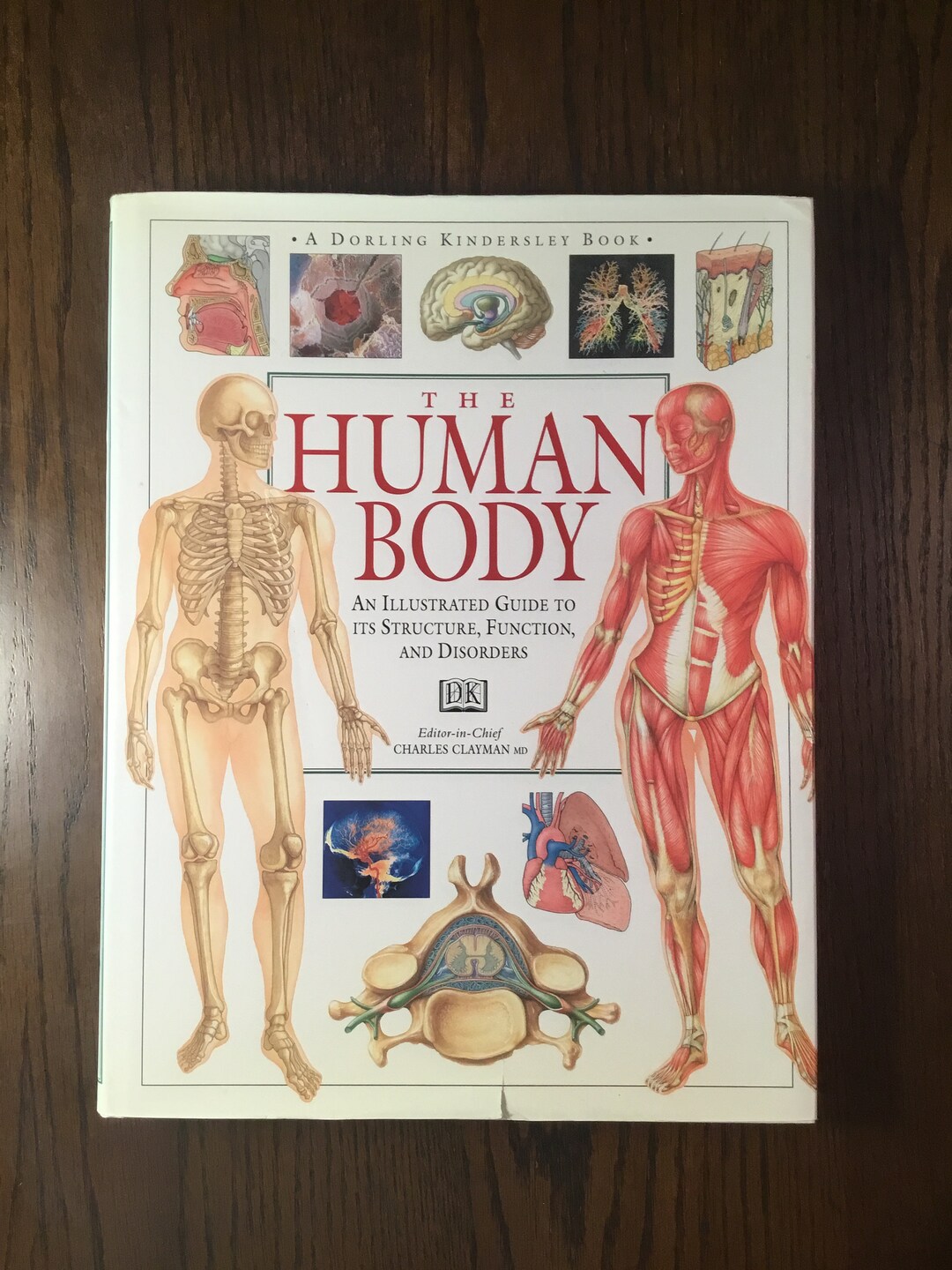The Human Body: an Illustrated Guide to Its Structure, Function, and ...
