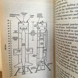 Rocheworld by Robert L. Forward - Etsy