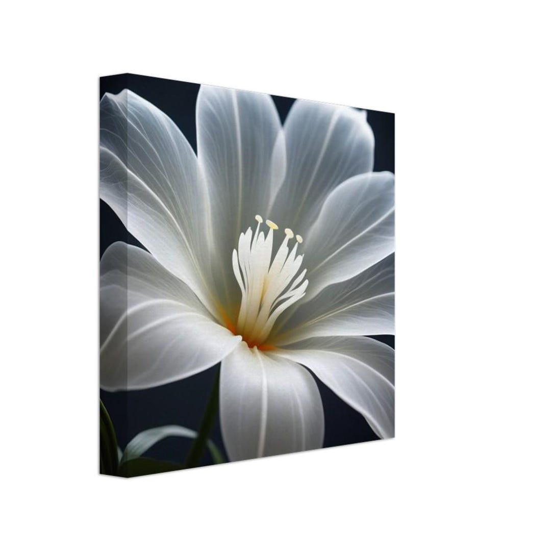 Black and White Flower Canvas 20x20 Cm / 8x8 - Etsy