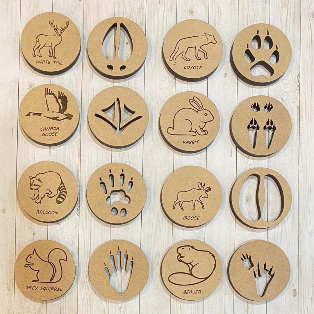 Animal Track Stamps - 16 Different Animals! - Etsy