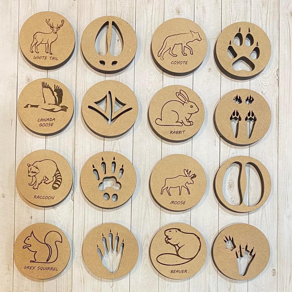 Animal Track Stamps - 16 Different Animals! - Etsy