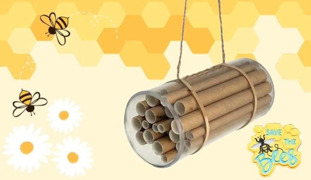 Save the Bees! DIY Mason Bee House - Etsy