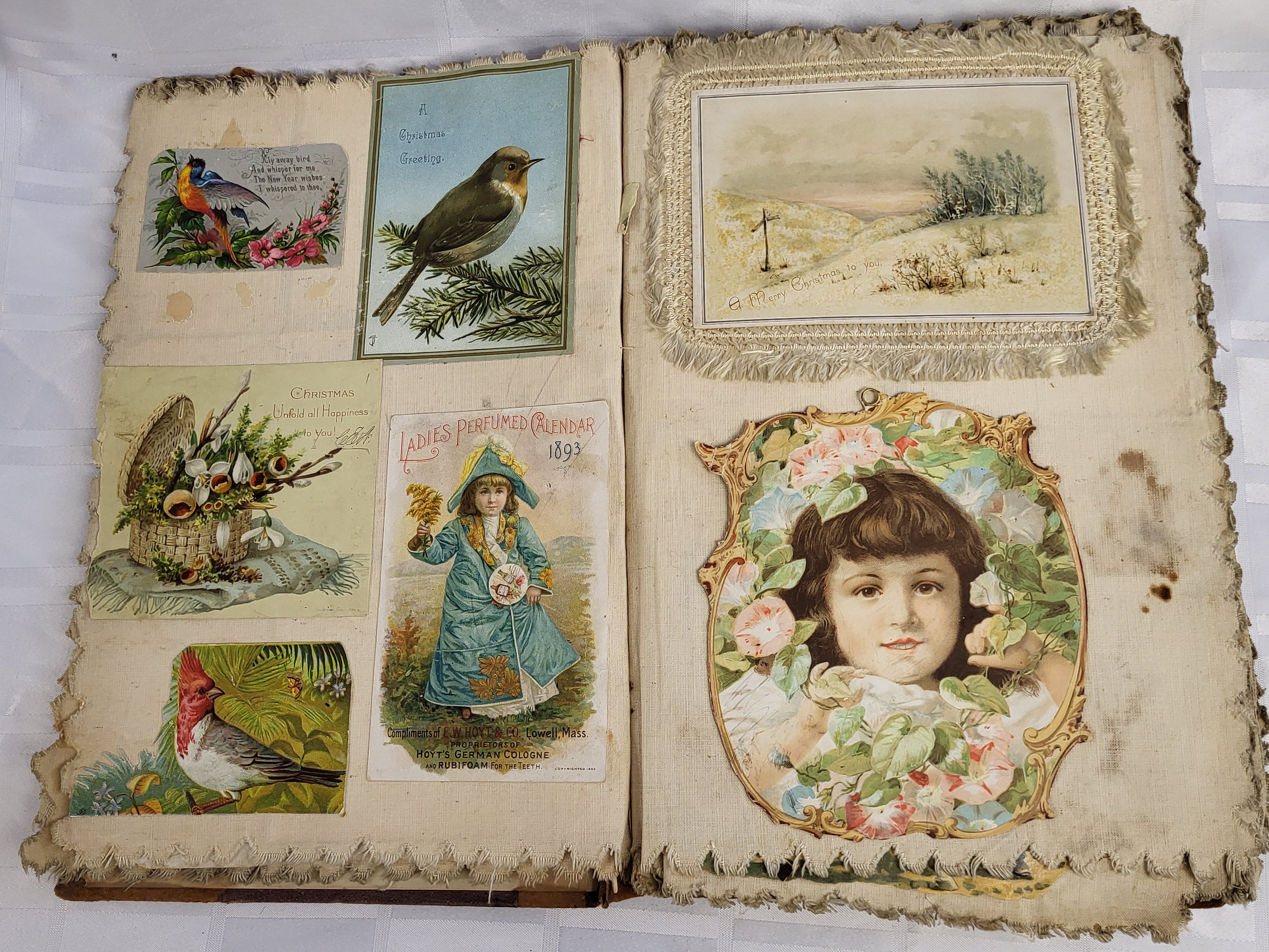 1800's Victorian Scrapbook Original Photo Cards Antique - Etsy