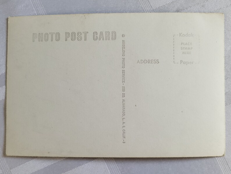 1940's Will Rogers Horse Postcard Soapsuds Original Tv Show Vintage ...