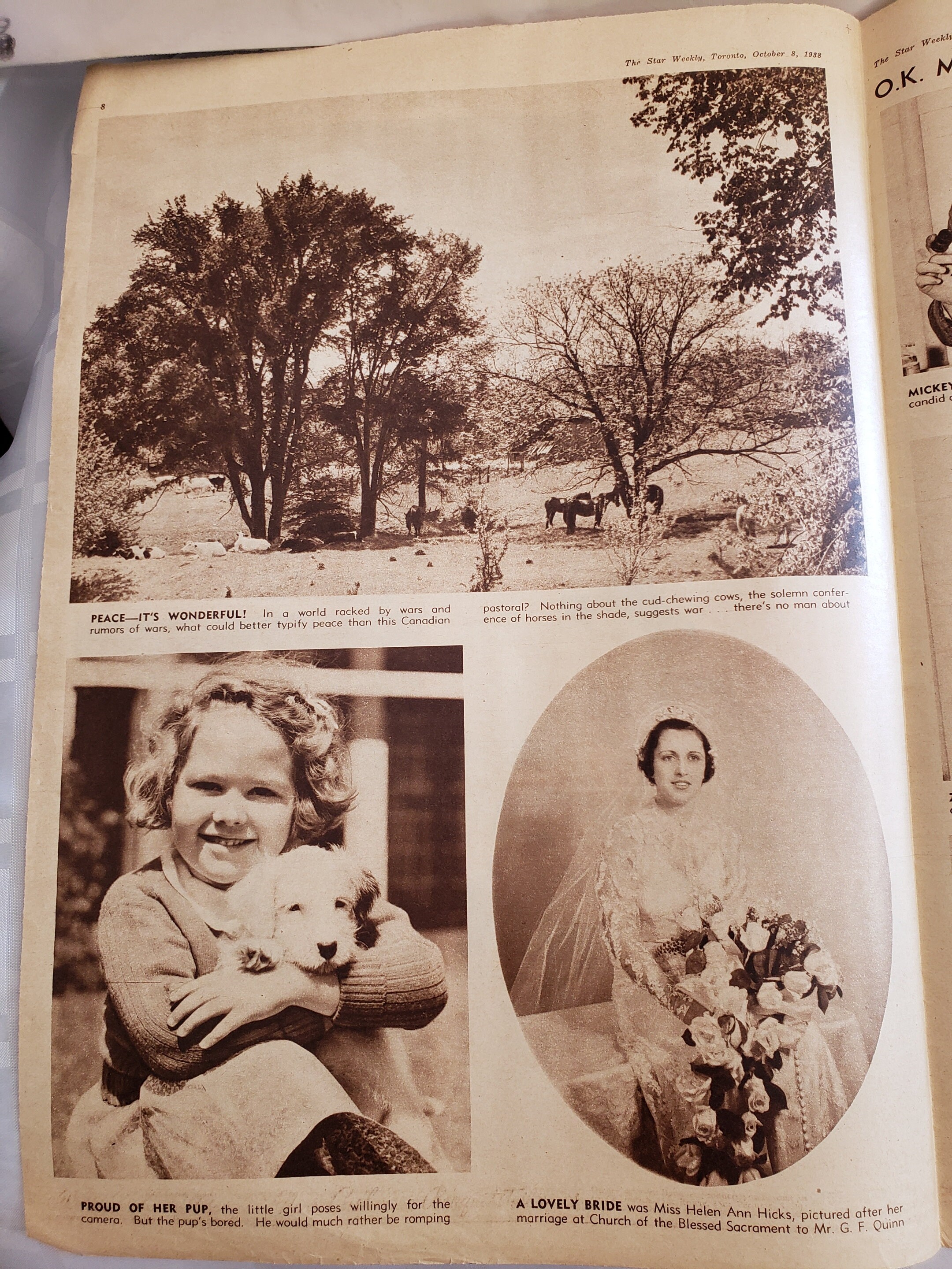 1938 Babe Ruth Hunting Article MLB Baseball Player Original Newspaper ...