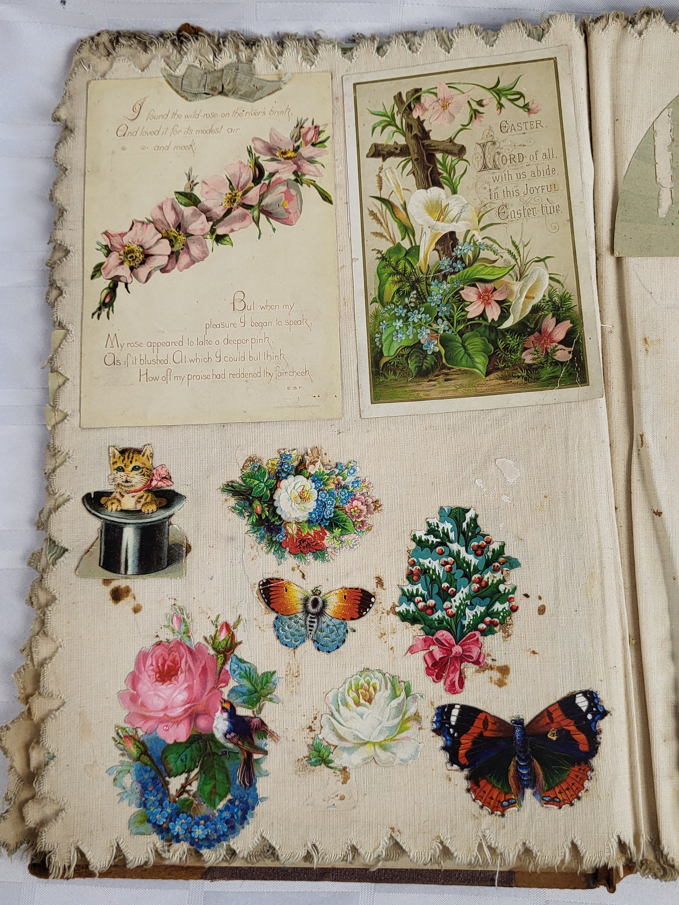 1800's Victorian Scrapbook Original Photo Cards Antique - Etsy