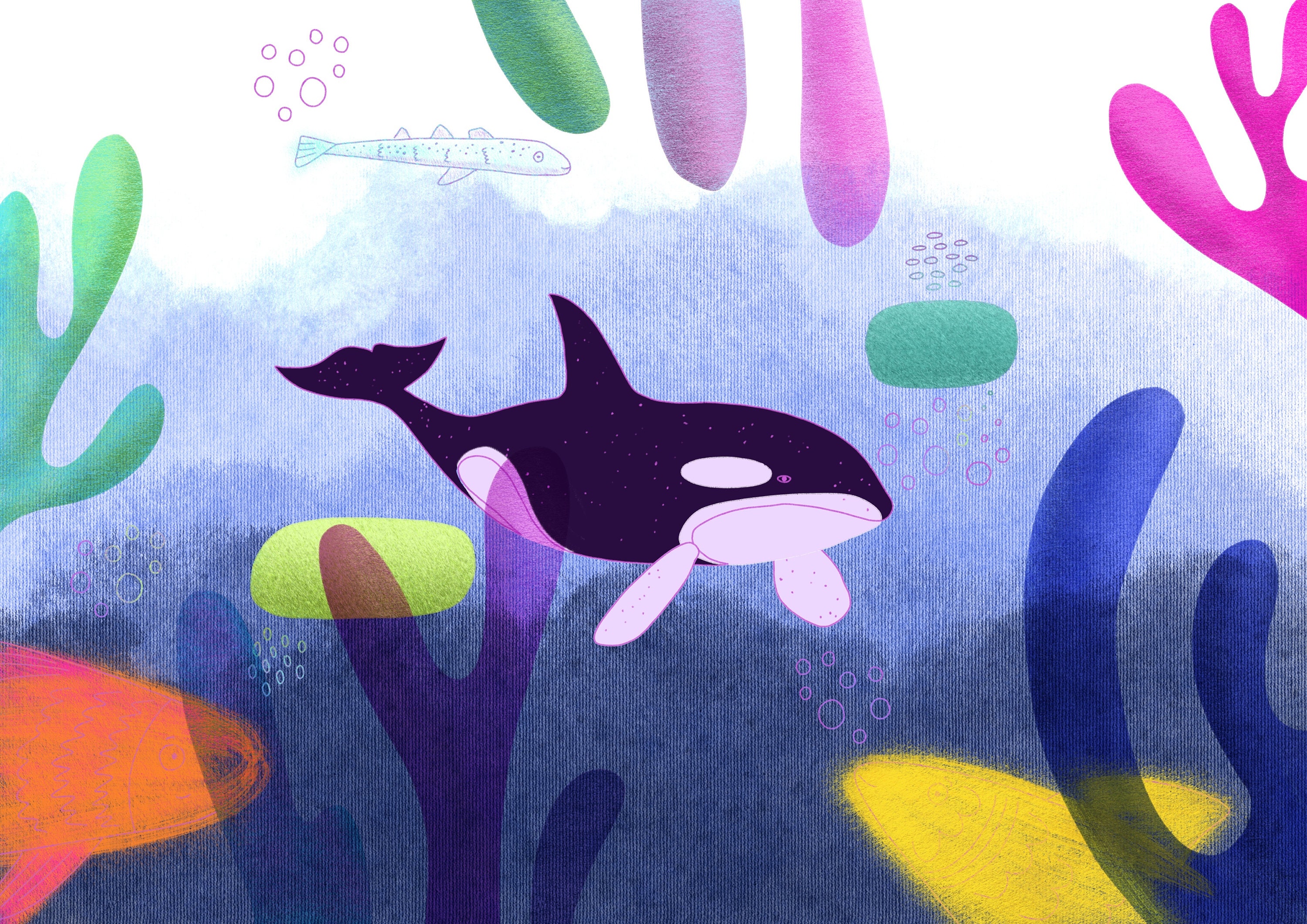 Colouring pages animals colouring pages ocean animals colouring ...