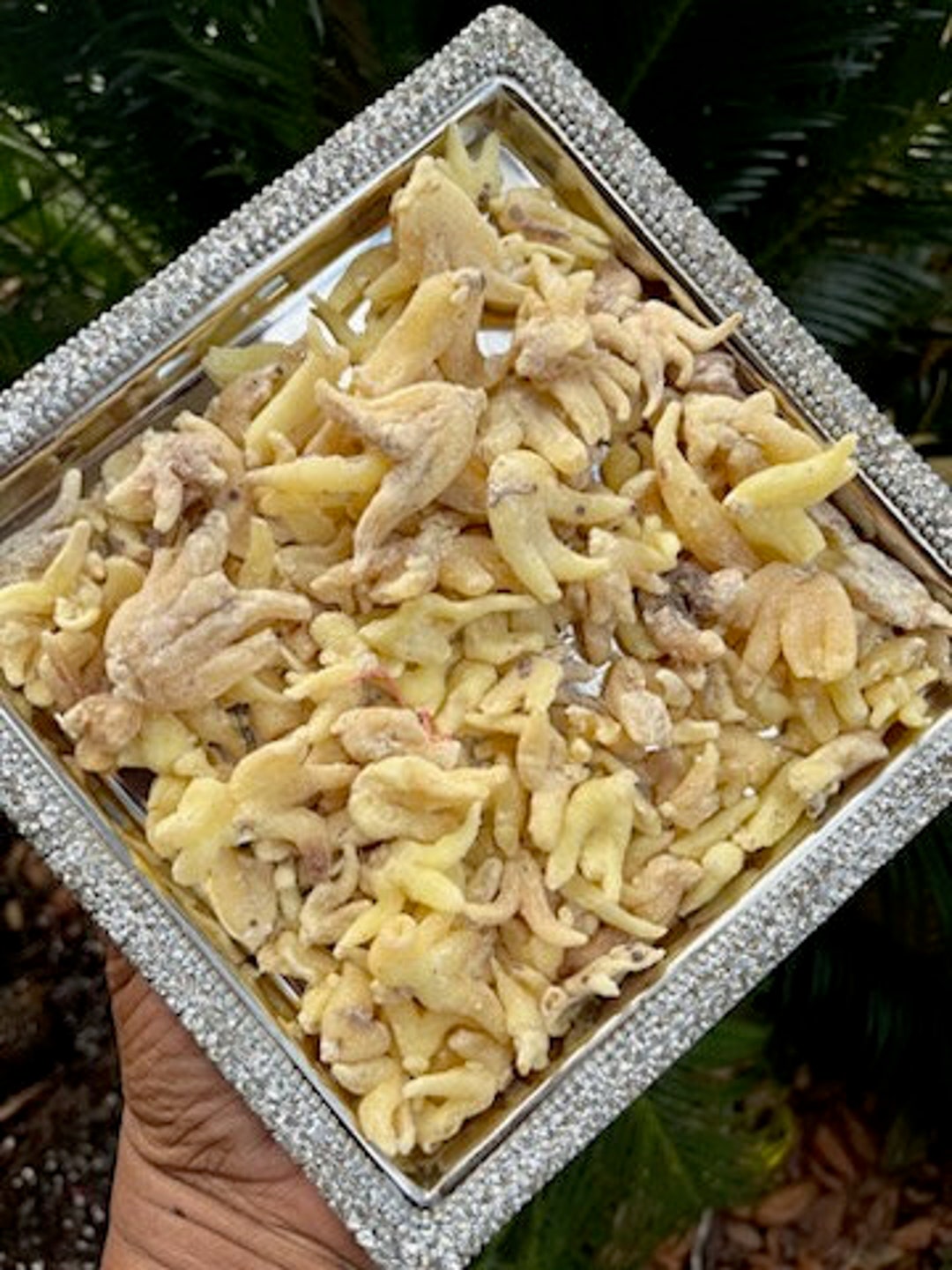 Lucky Hand Root / Lucky Hand / Orchis Mascula / 100% Organic / Powerful ...