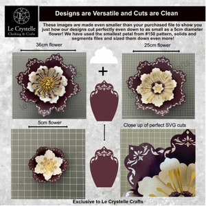 SVG Paper Flower Cut File/flower DIY Decor/wall Paper Flower/flower ...