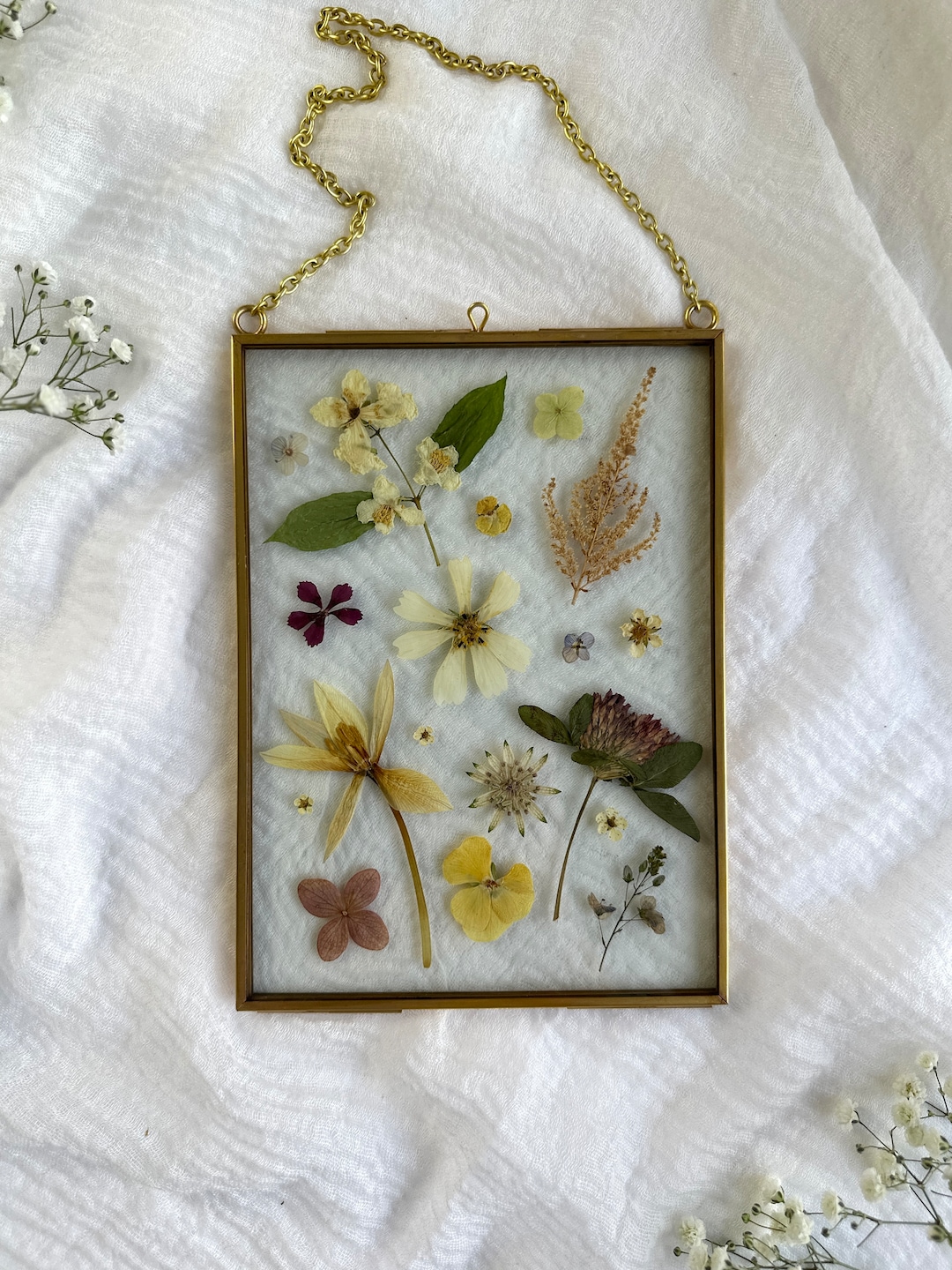 Pressed Flower Frame / Real Pressed Flowers in Floating Glass Frame ...