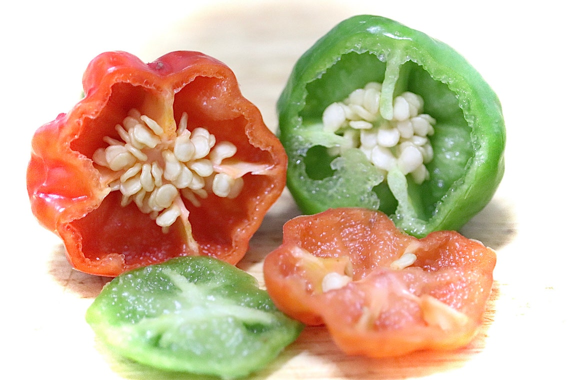 Aji Cachucha Cachucha Pepper Sweet Pepper Sweet Aji. Pintón | Etsy