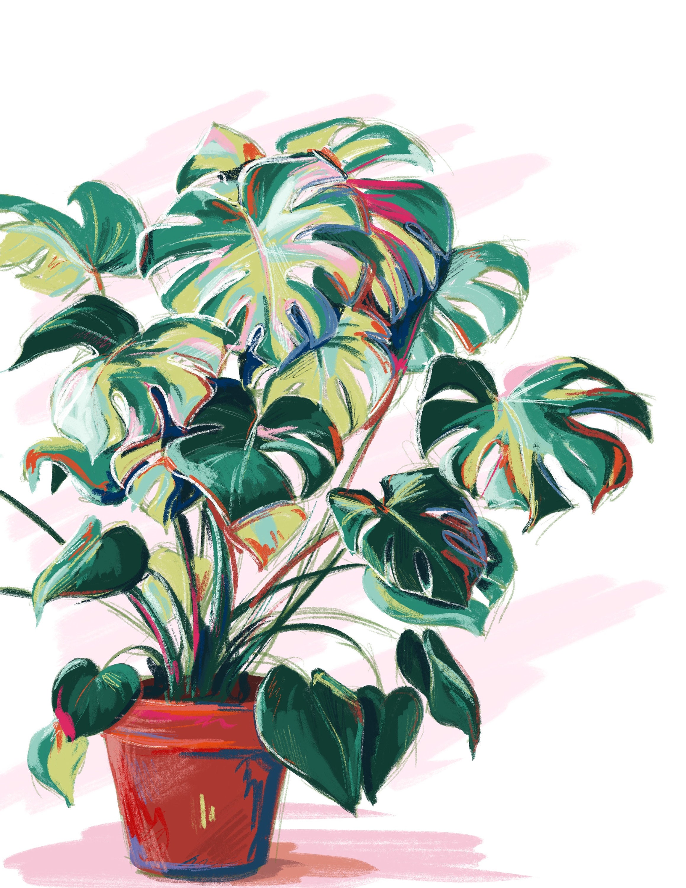 Colourful Monstera Plant Art Print - Etsy