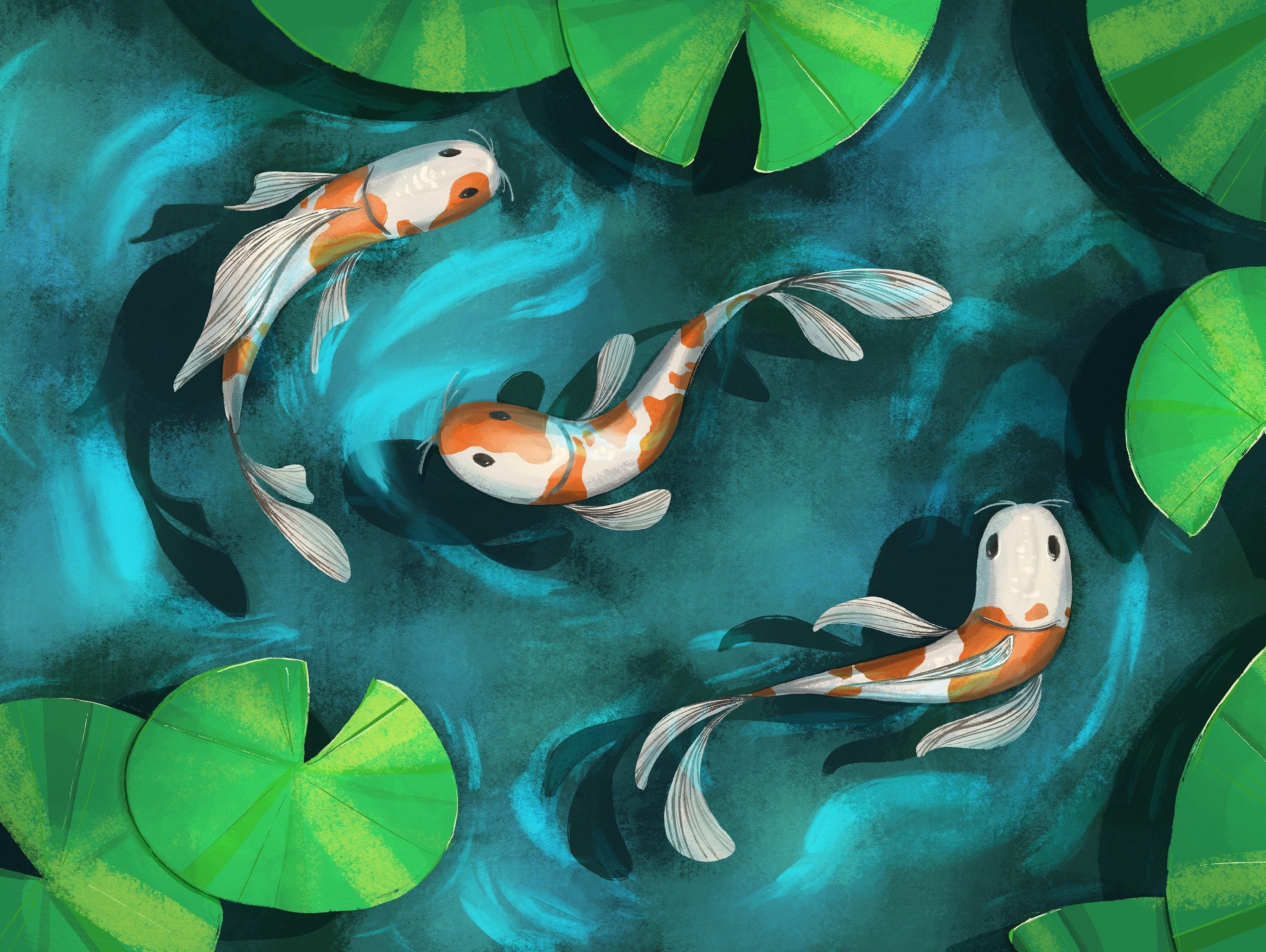 Fish Pond Drawing Art Print: Pond Koi Dana Simson Design