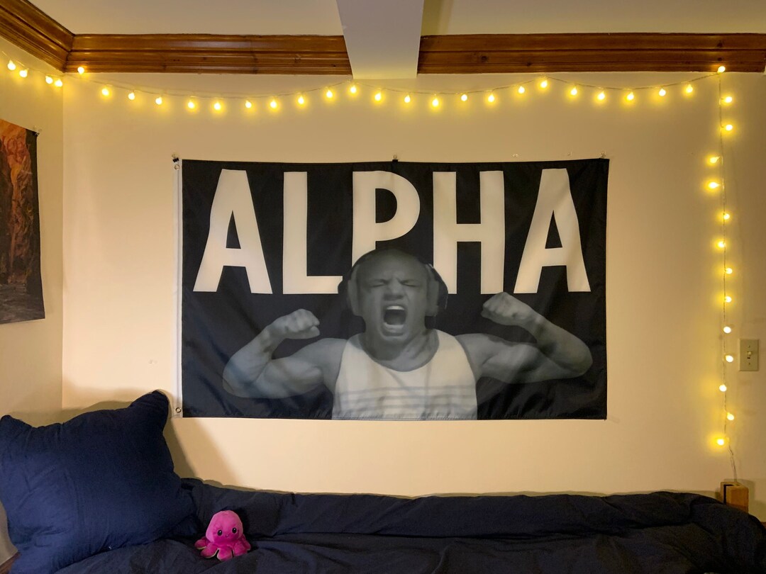 Tyler1 3'x5' Flag ALPHA League of Legends Twitch Streamer Loltyler1 - Etsy