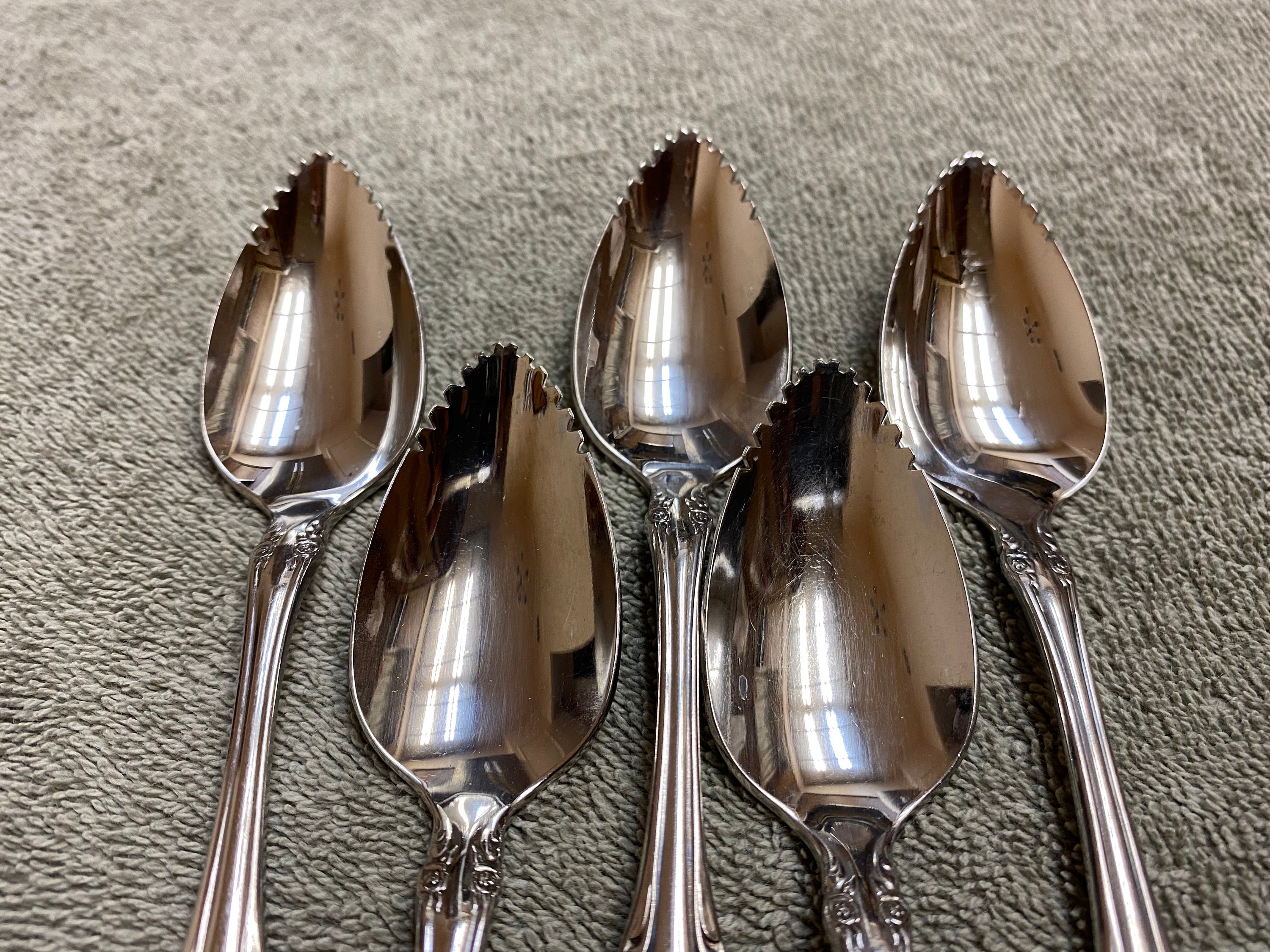 Oneida Brahms Community Stainless Steel Set of 5 Fruit Spoons - Etsy