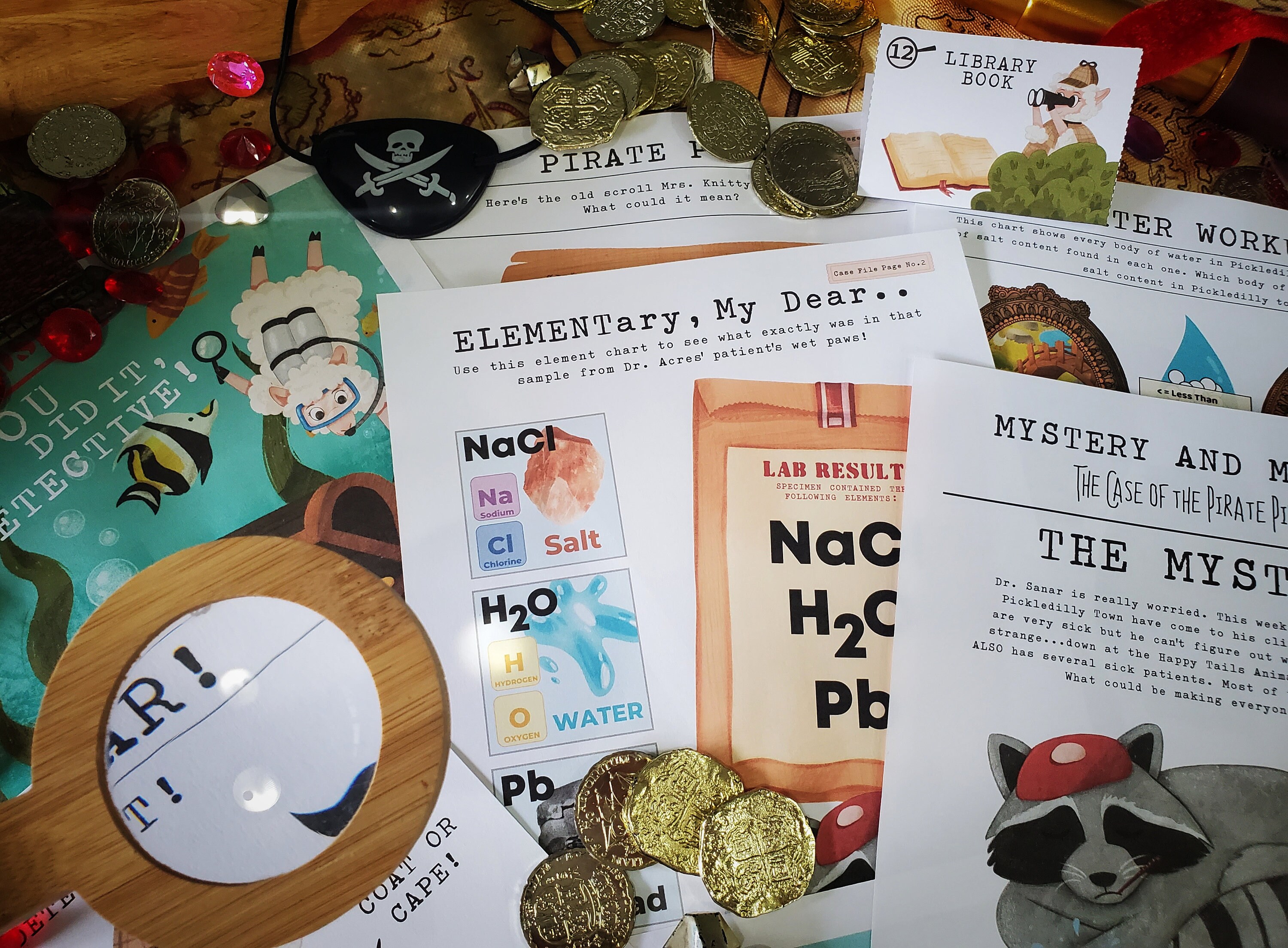 The Case of the Pirate Pilferer Detective Dinner Essentials Spy Science ...