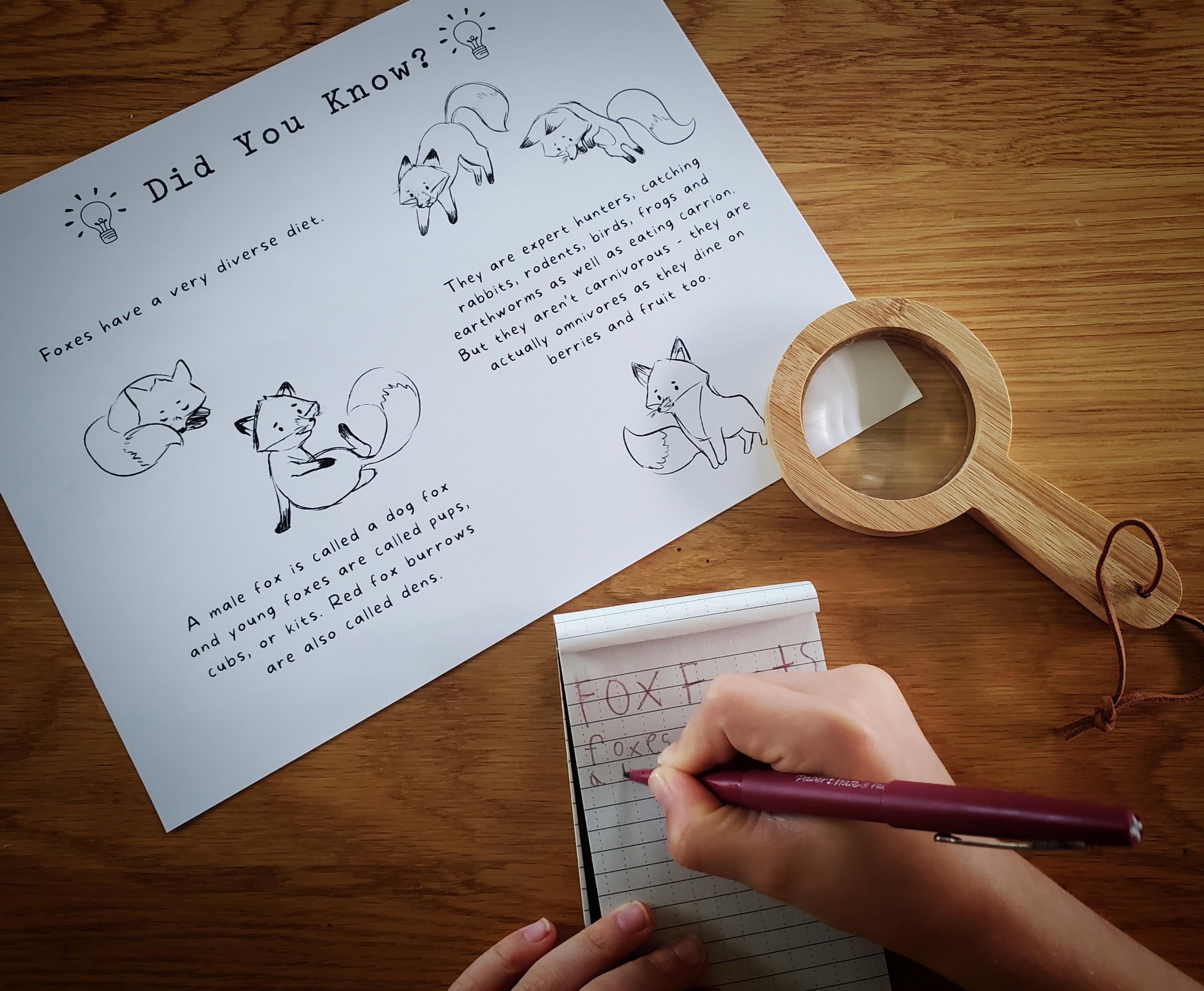The Forest Fiend Mini Mystery - Printable Kids Worksheets and ...