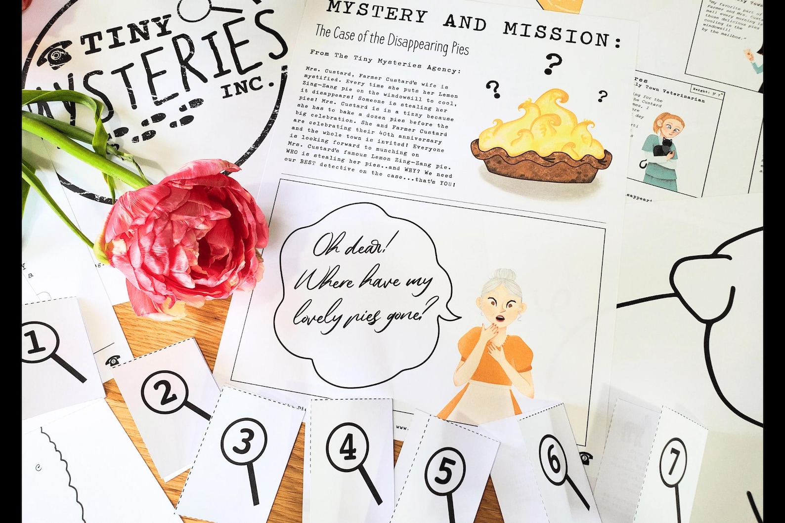 The Case of the Disappearing Pies Birthday Party Activities Kids Spy ...