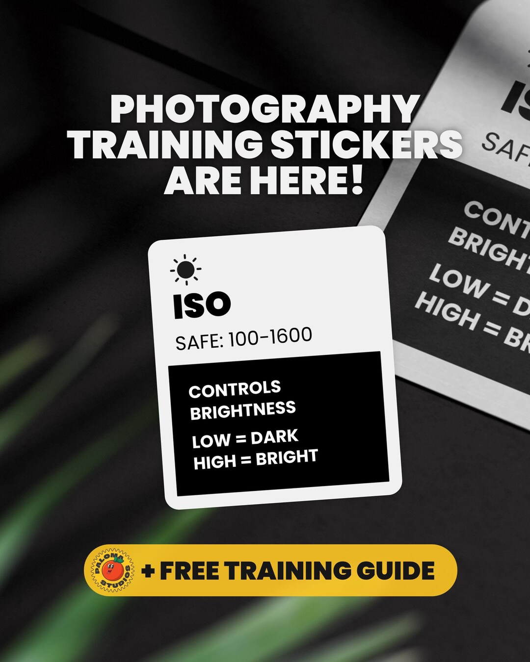Photography Training Stickers Master Camera Settings Guide ISO, Shutter ...