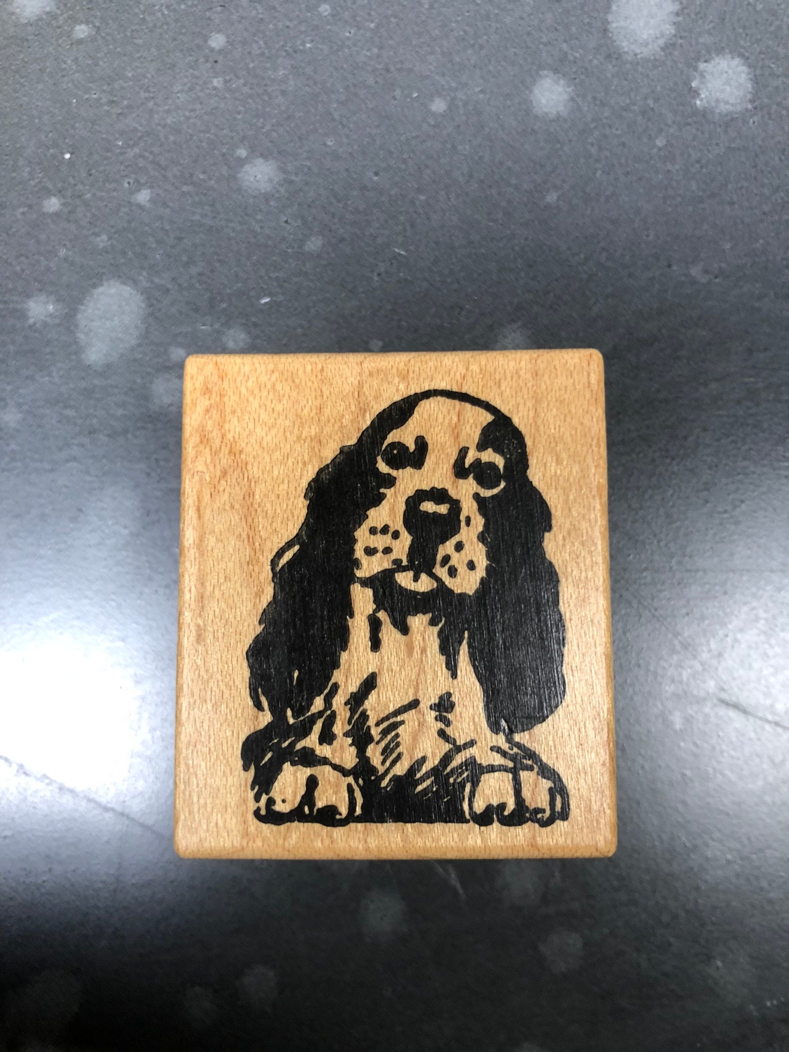 Toybox Cockers at Paula Silber blog