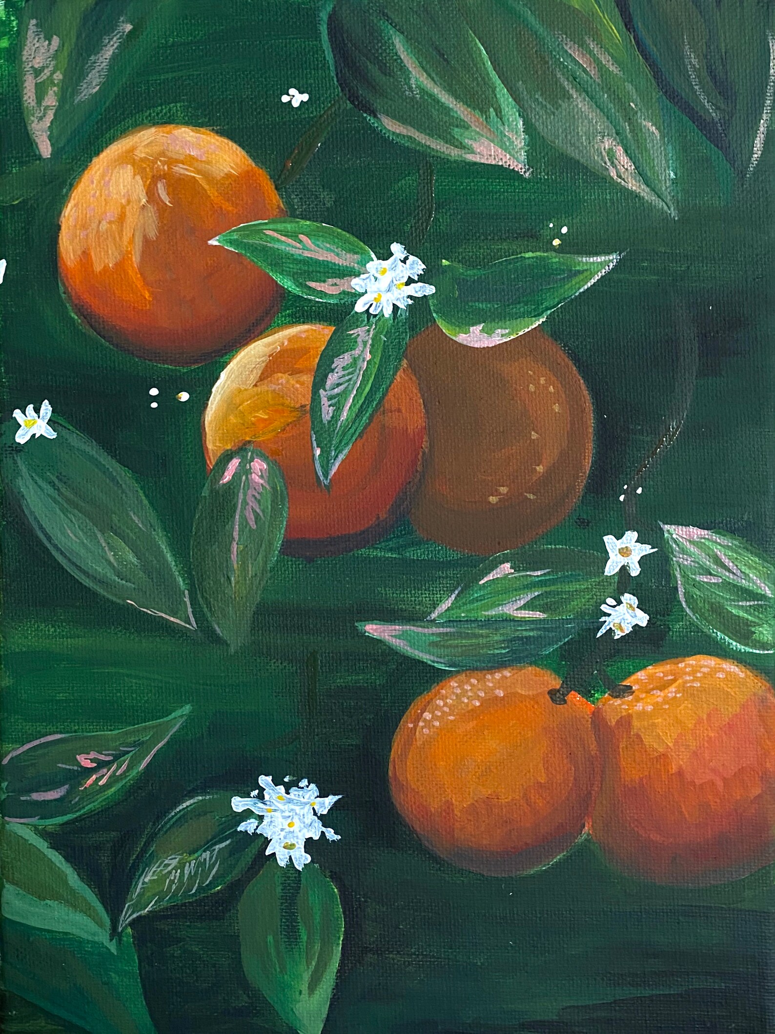 Florida Oranges - Etsy