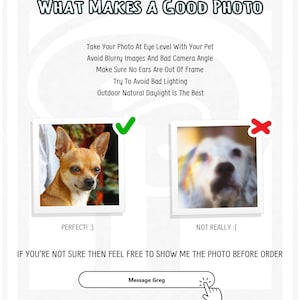 Dogs Playing Poker Custom Pet Portrait, Funny Gambling Pet Portrait ...