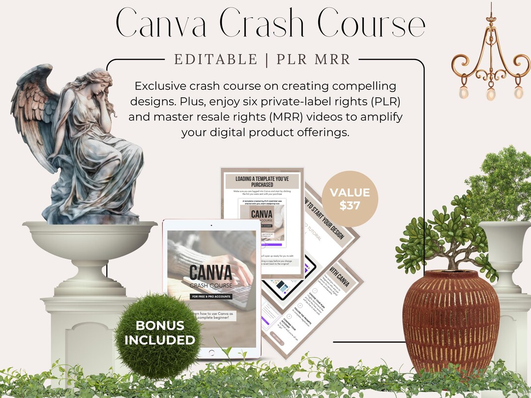 The Canva Crash Course With Master Resell Rights, PLR Template, Plus ...
