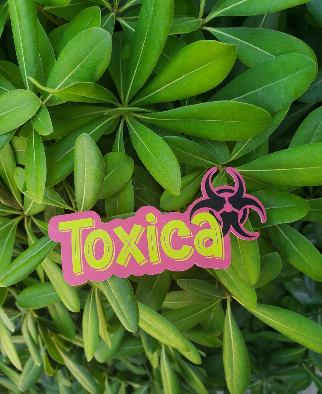 Toxica Sticker - Etsy