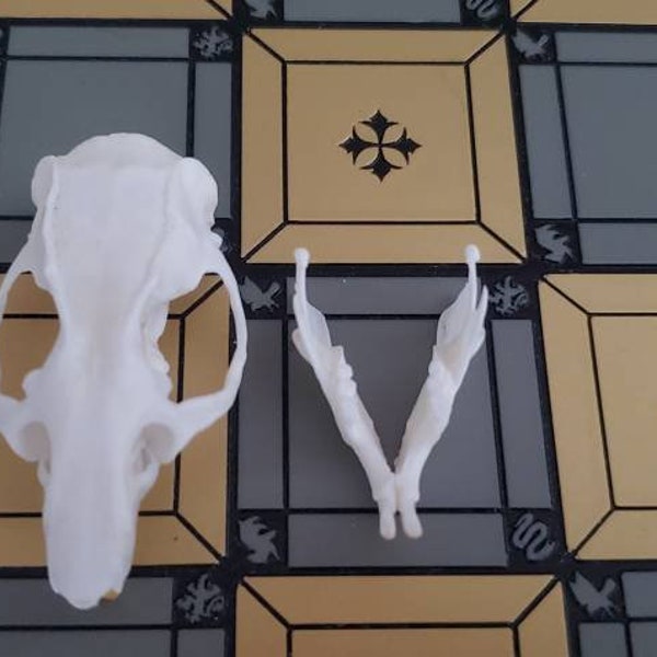 Rat Skull - Etsy