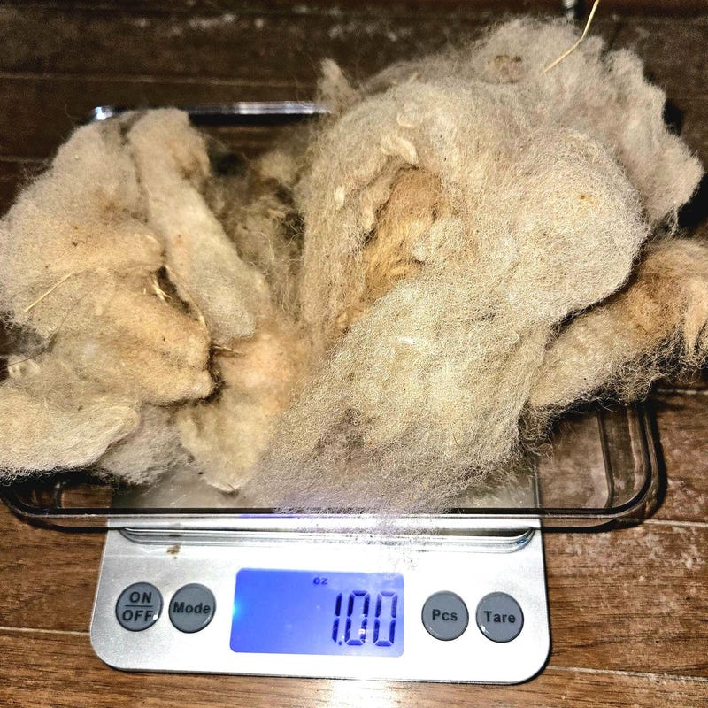 Raw Wool - Etsy