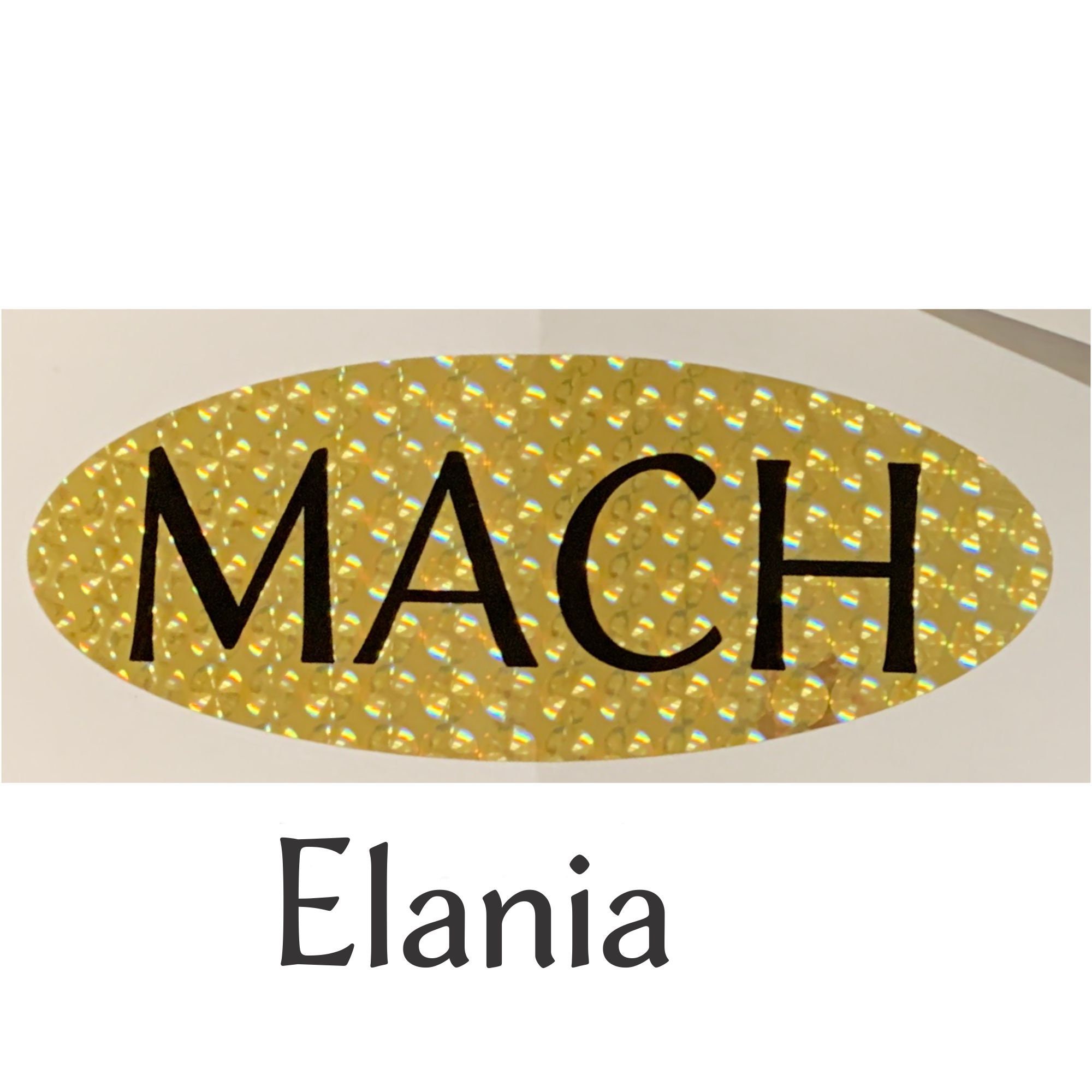 MACH Stickers for Dog Agility Bars Oval Shape allows for Friends to ...