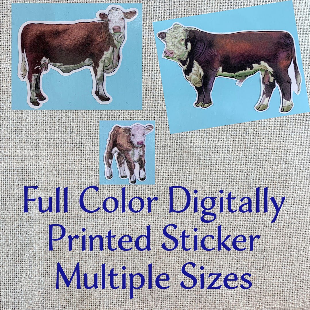 Hereford Bull, Cow, Calf Set of Stickers. Outdoor & Indoor great for ...