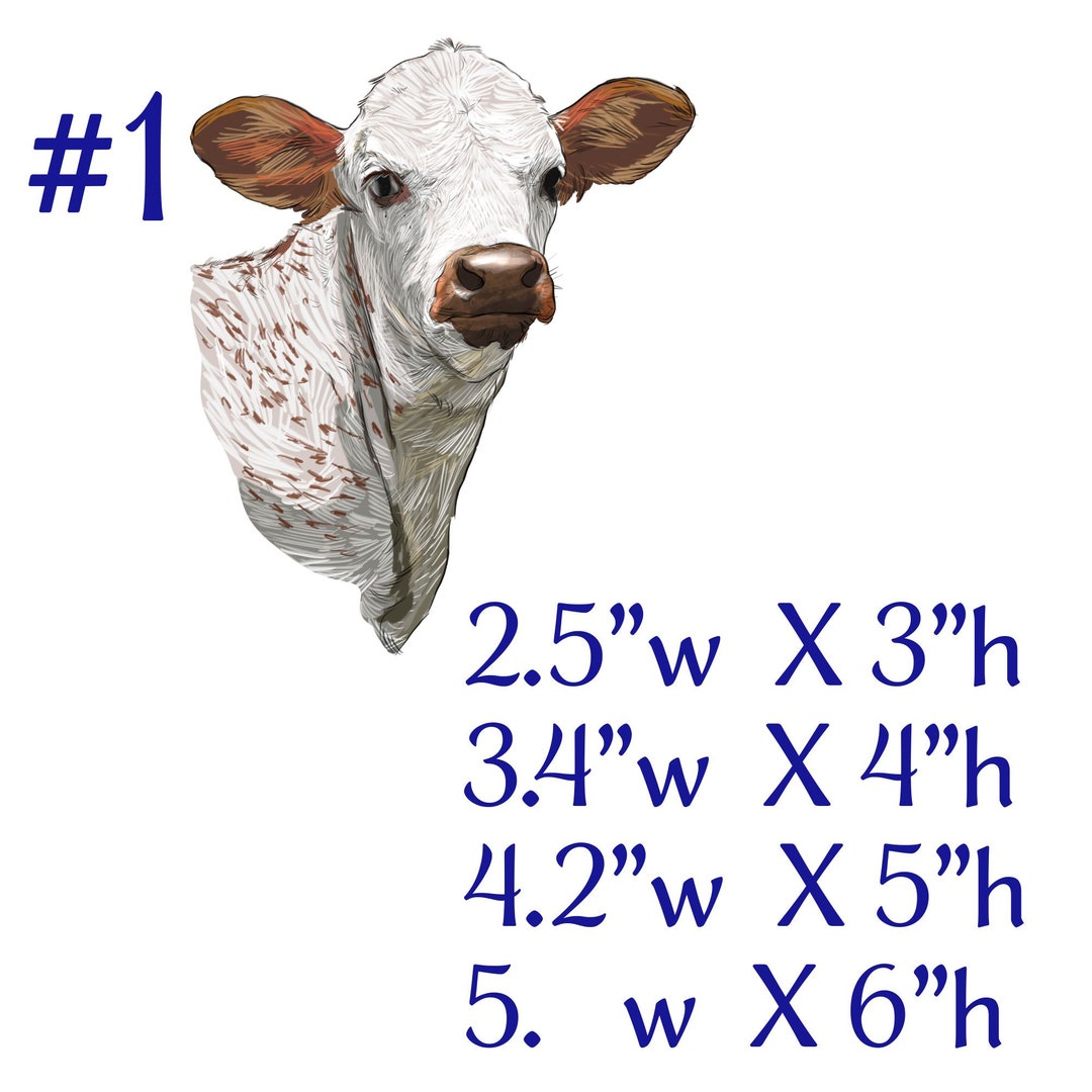 Texas Long Horn Bull, Cow, Calf Sticker, 4 Different Sizes, Indoor or ...