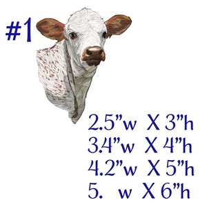 Texas Long Horn Bull, Cow, Calf Sticker, 4 Different Sizes, Indoor or ...