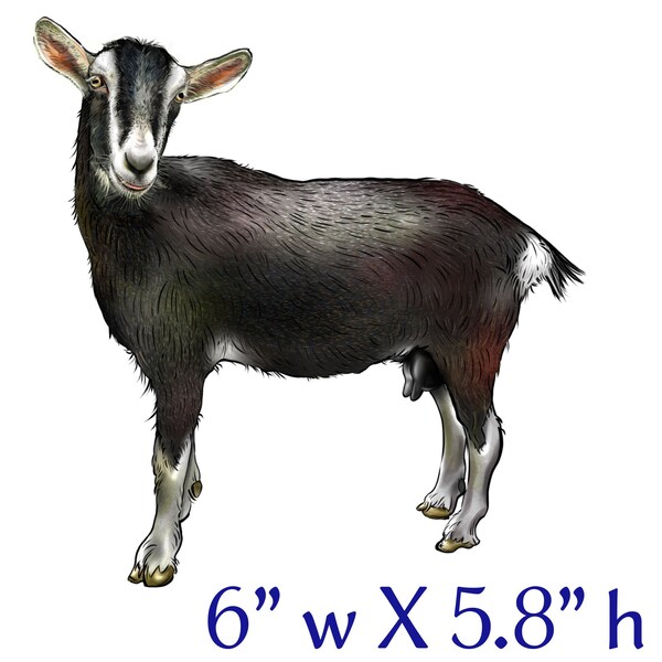 Dairy Goat - Etsy