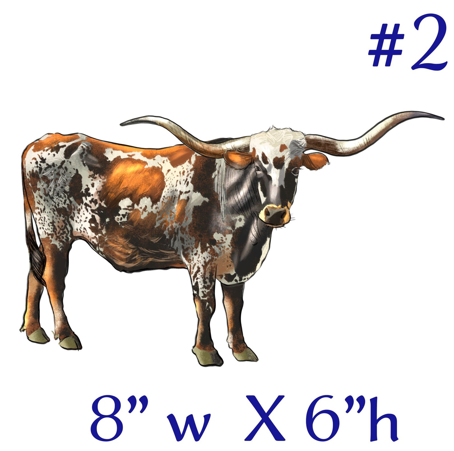 Texas Long Horn Bull, Cow, Calf Sticker, 4 Different Sizes, Indoor or ...