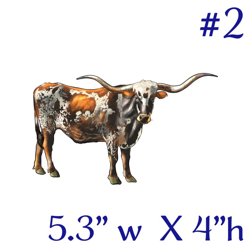 Texas Long Horn Bull, Cow, Calf Sticker, 4 Different Sizes, Indoor or ...